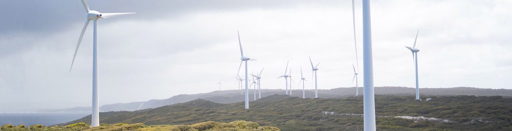 Building an Australian Climate Leaders Coalition - Australian Climate ...